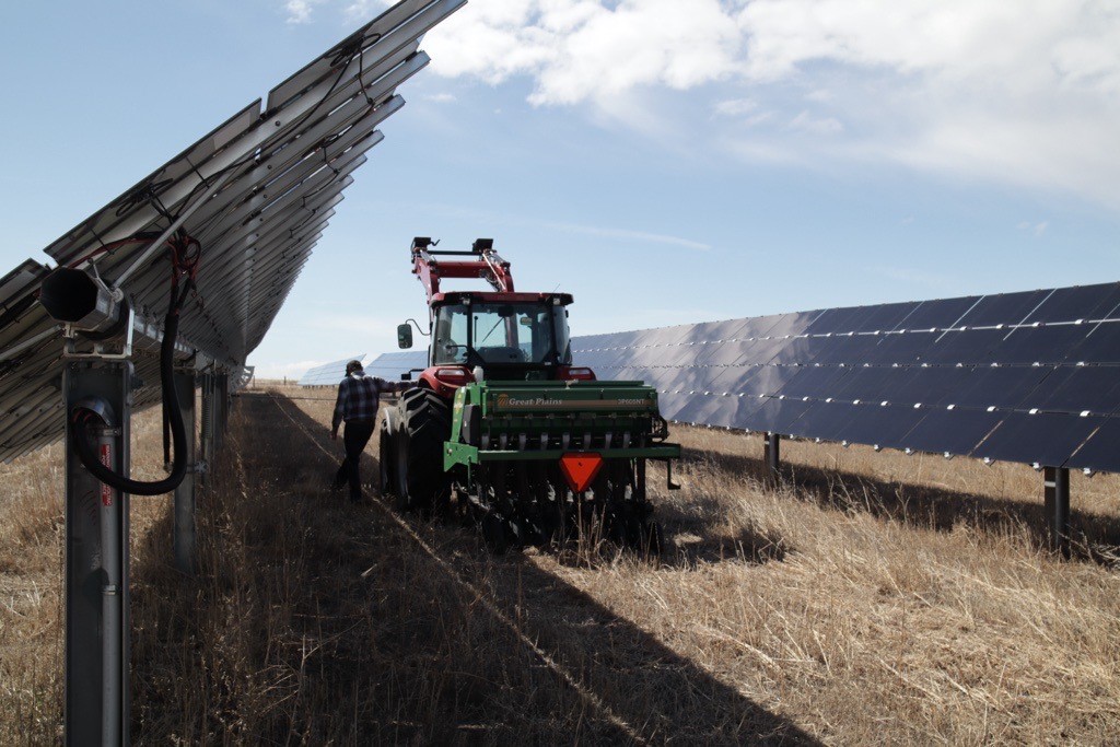 Agrivoltaics Grants | Department of Agriculture