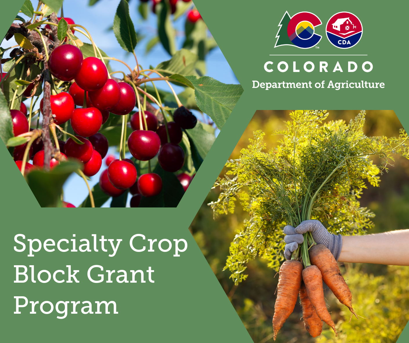 Concept Proposals Accepted for Specialty Crop Block Grants in Colorado ...